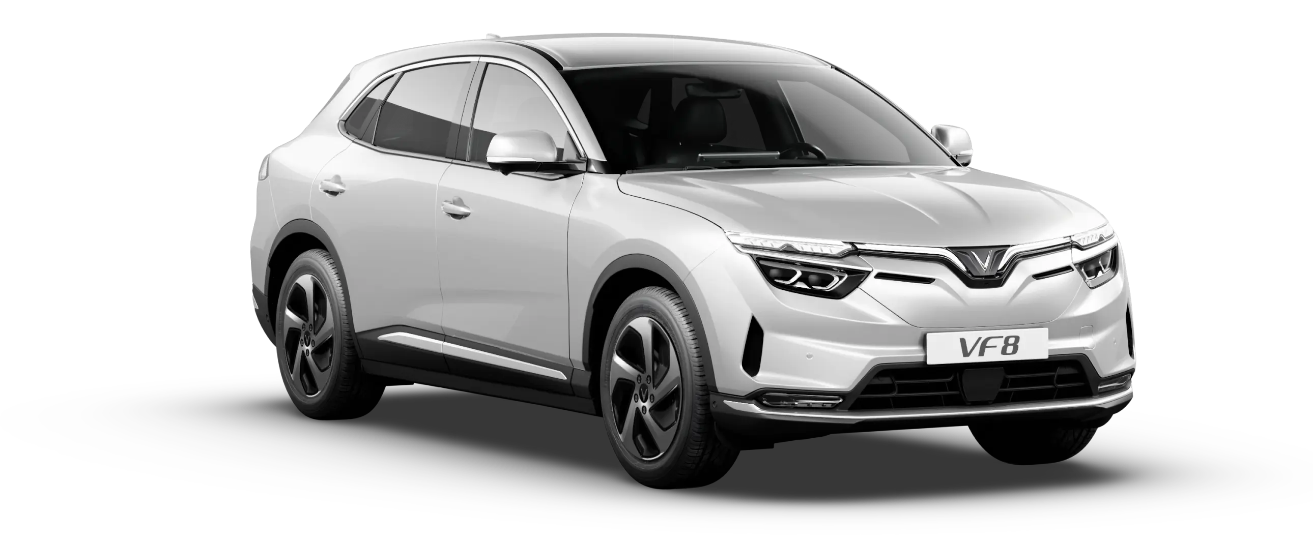 VinFast's Online EV reservation | VinFast